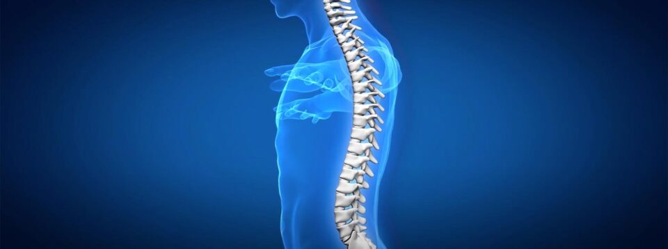 Chiropractor Ajax | Unique Family Chiropractic & Wellness